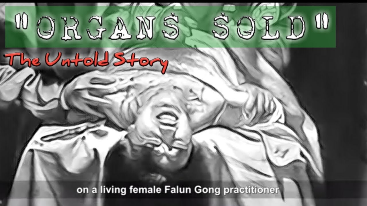 "Human Organs - SOLD" | Harvested Alived - YouTube