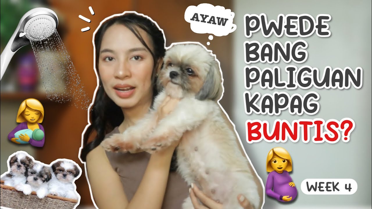 ANO ANG VITAMINS NG BUNTIS NA ASO? PWEDE BA SILANG PABAKUNAHAN HABANG ...