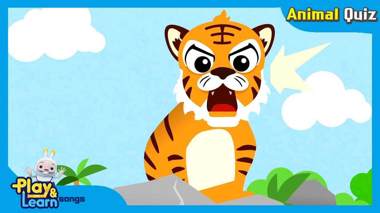 tiger nursery rhymes | jjoy song - animal quiz song #2 - YouTube