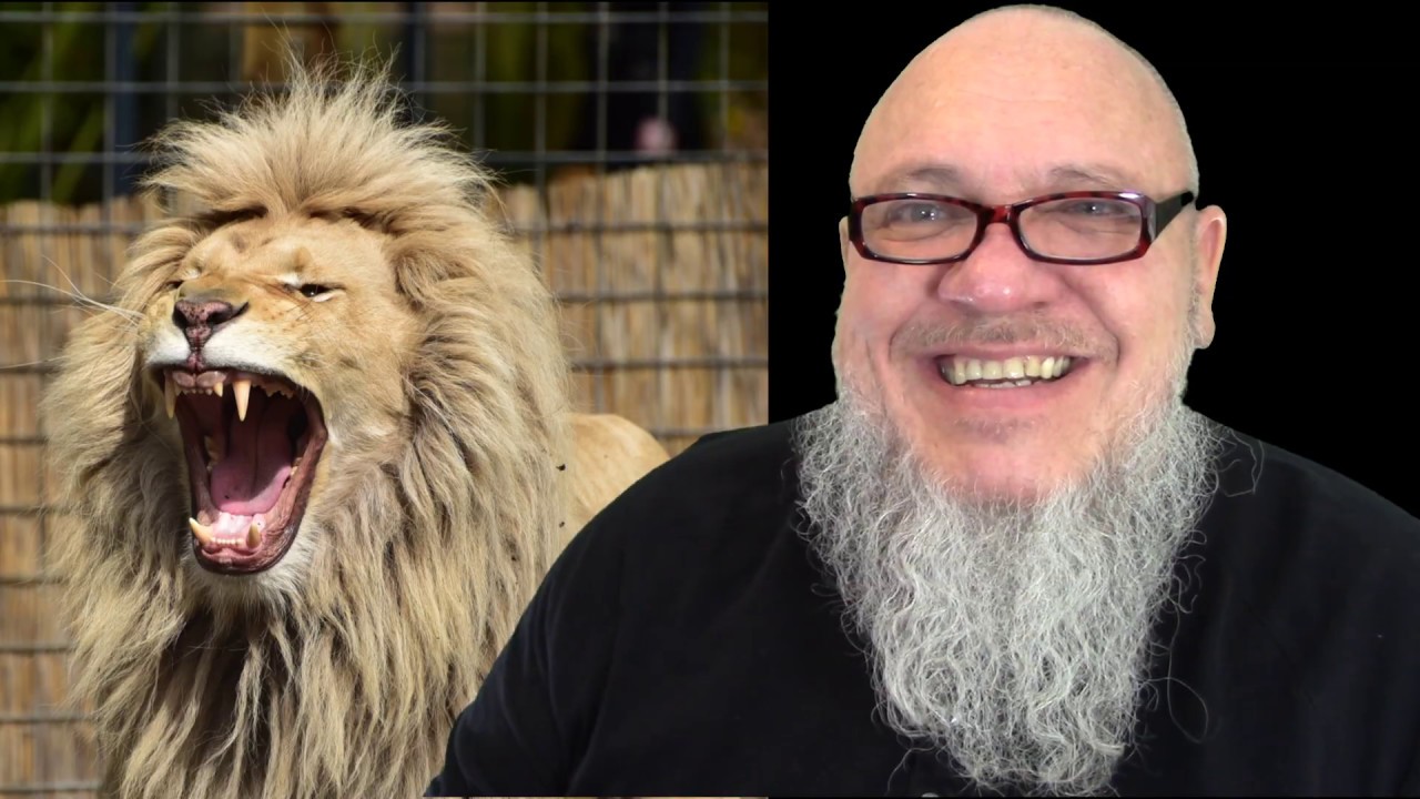 Dad Joke of the Day #1111 Tiger King - YouTube