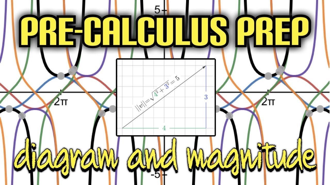 Pre-Calculus Prep: Draw a Diagram and Find the Magnitude of a Vector ...