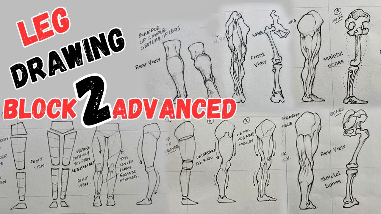 3 Essential Steps for Drawing Legs from Block to Advanced | Drawing ...