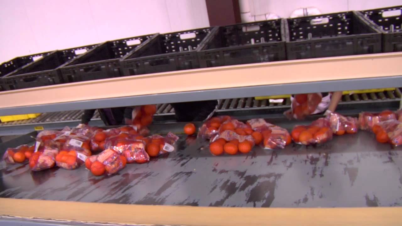 Duda Farm Fresh Foods Citrus - YouTube