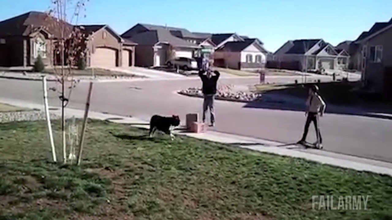 Funniest Animal Fails Compilation || FailArmy part 2 - YouTube