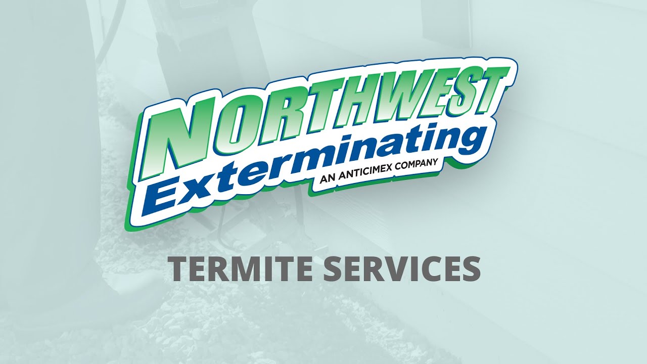 Termite Services by Northwest Exterminating - YouTube