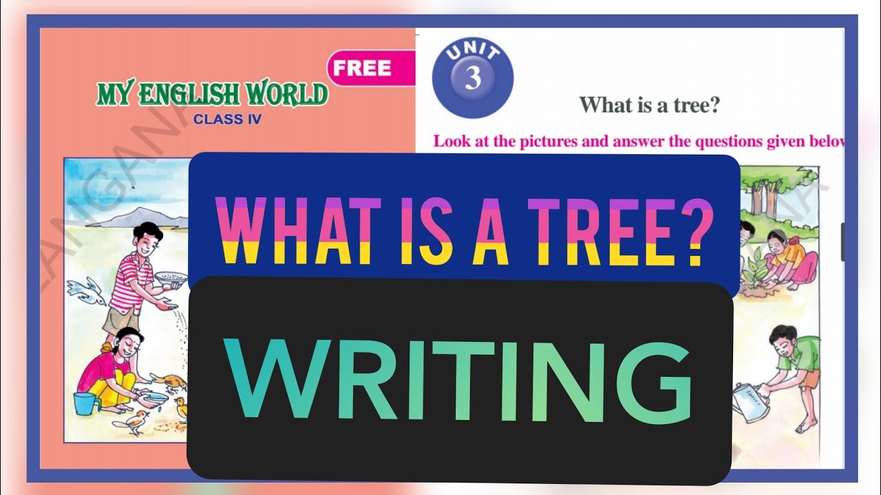 4th class English Unit-3 What is a Tree? WRITING PART - YouTube