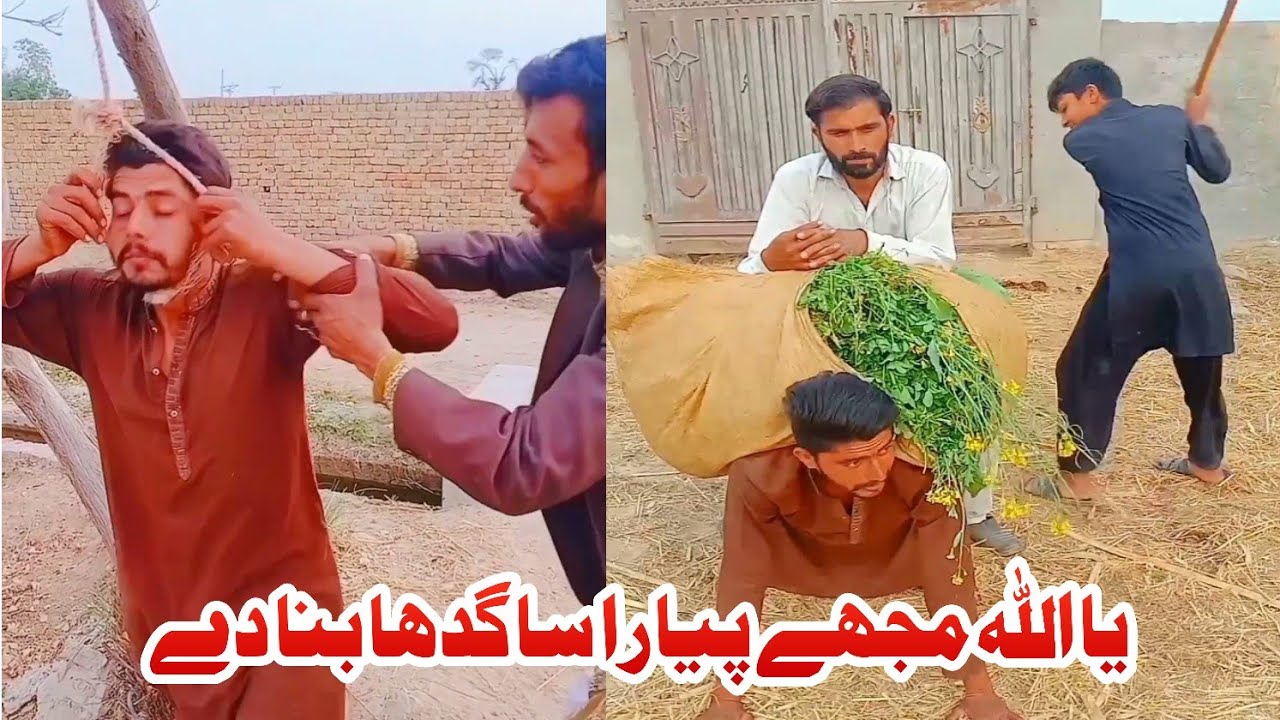 Ya Allah Mujhe Pyara Sa Gadha Banaa ds 😱😜😰 - YouTube