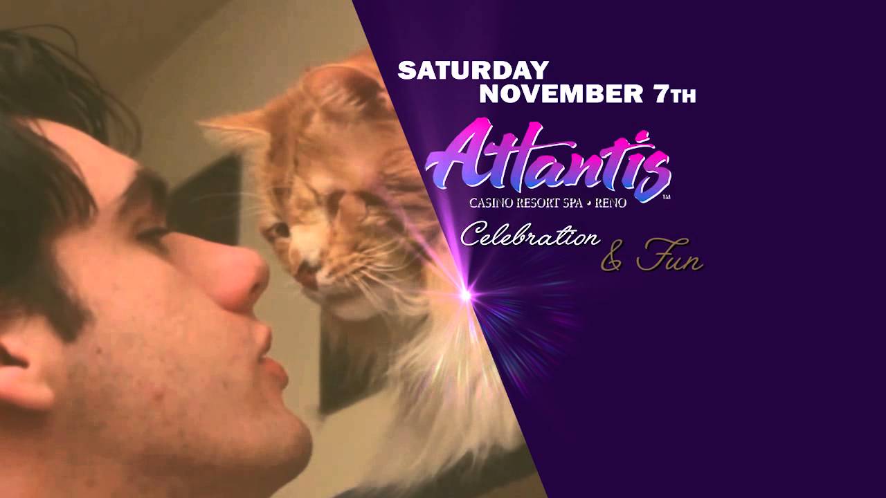 SPCA Gala V1 30 - YouTube