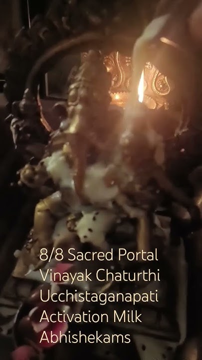 Lions Gate Portal 8:8 Sacred activation Ucchistaganapati Milk Abhishekams #youtubeshorts # ...