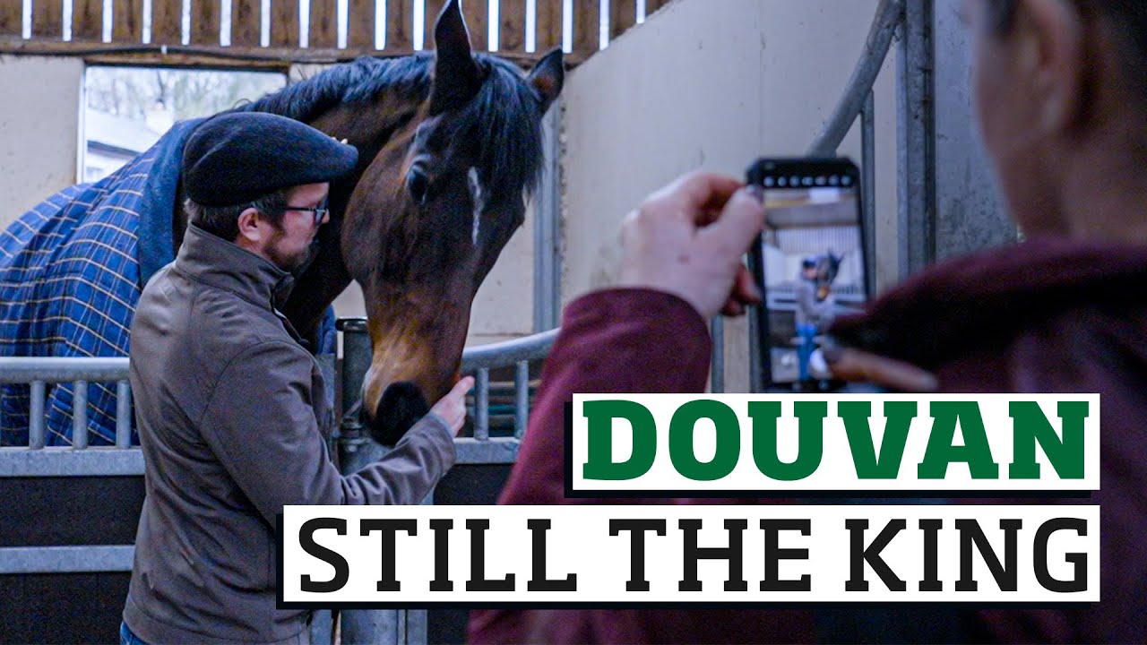 Douvan's new life after racing | Cheltenham Hero - YouTube