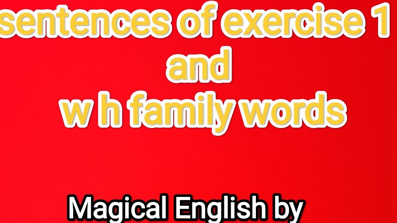 sentences of exercise 1 and WH family words - YouTube