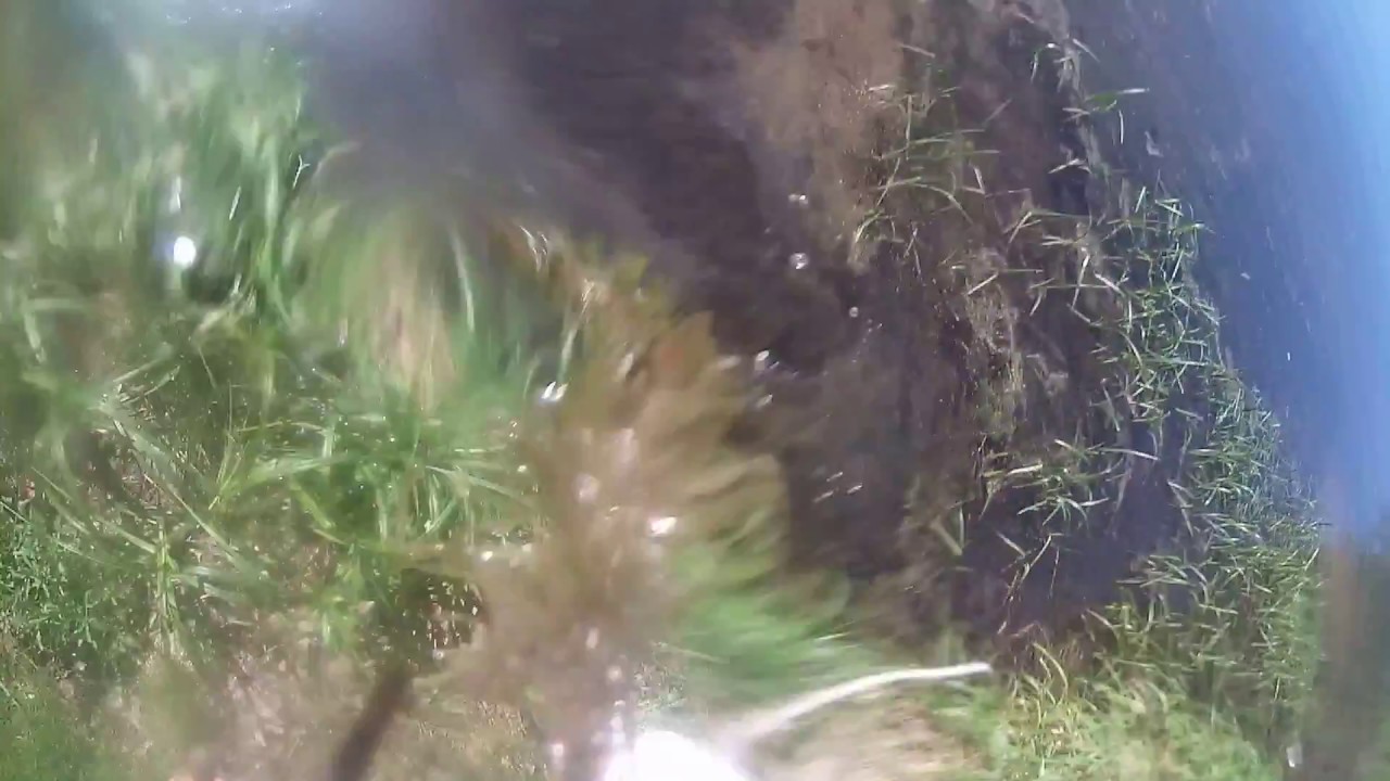 1 foot deep shore underwater camera. - YouTube
