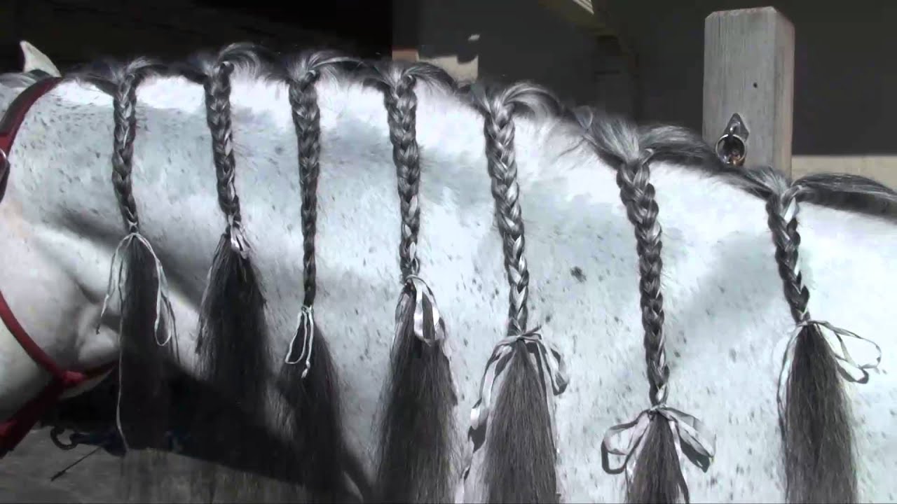 How to Manage a Long Mane - YouTube