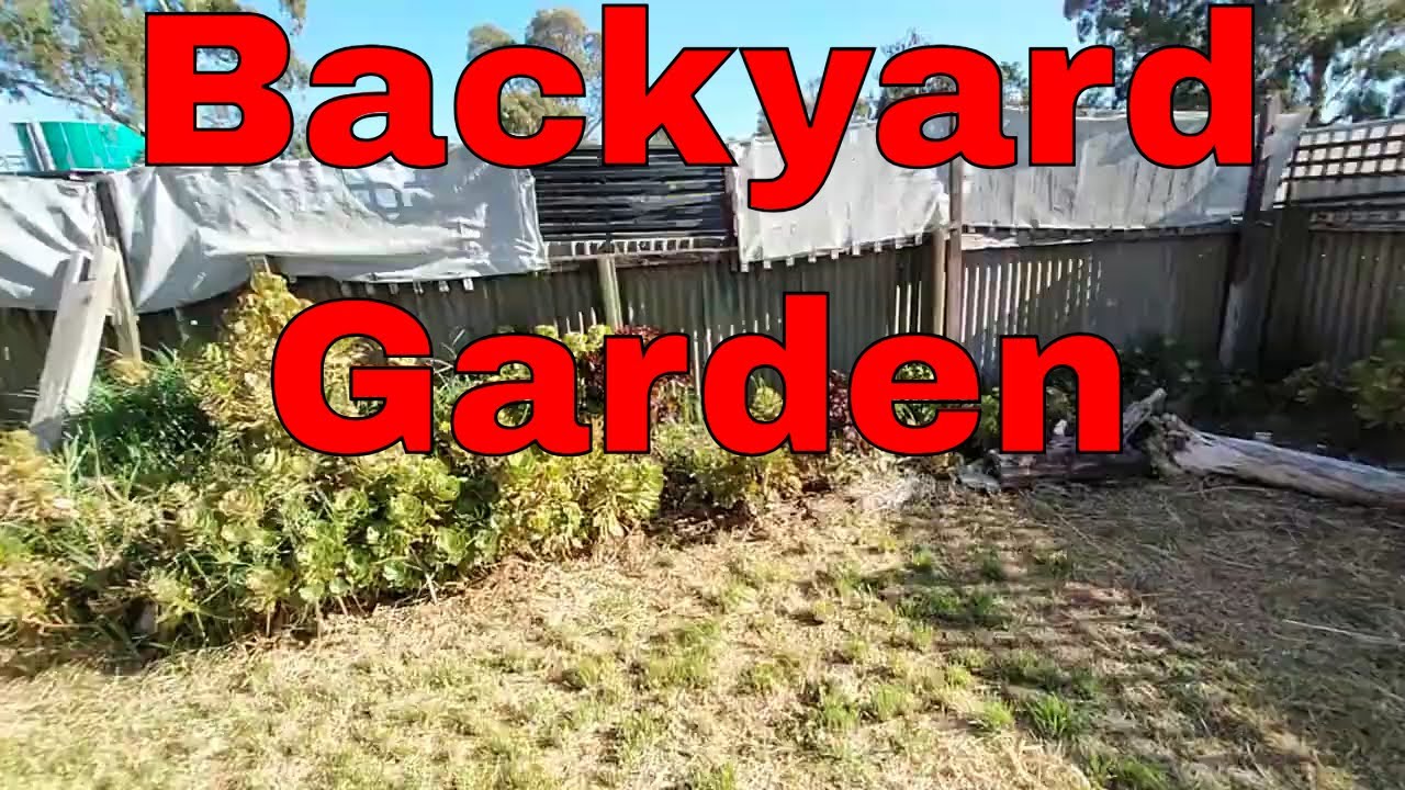 Backyard Garden at my country house 🏡 - YouTube