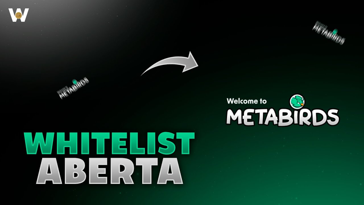 METABIRDS - NOVO NFT INSPIRADO EM AXIE INFINITY E ANGRY BIRDS - YouTube