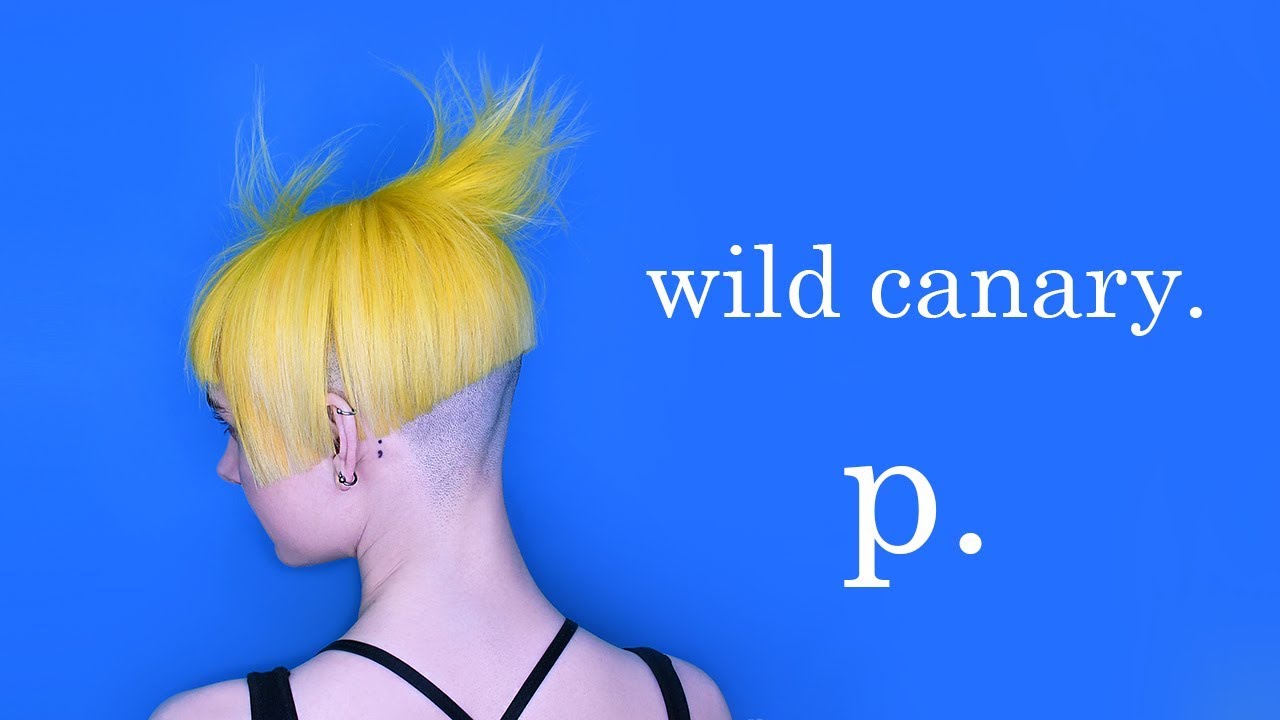 Wild Hairstyle! | Cut, colour and style at Parlour Salon in Toronto ...
