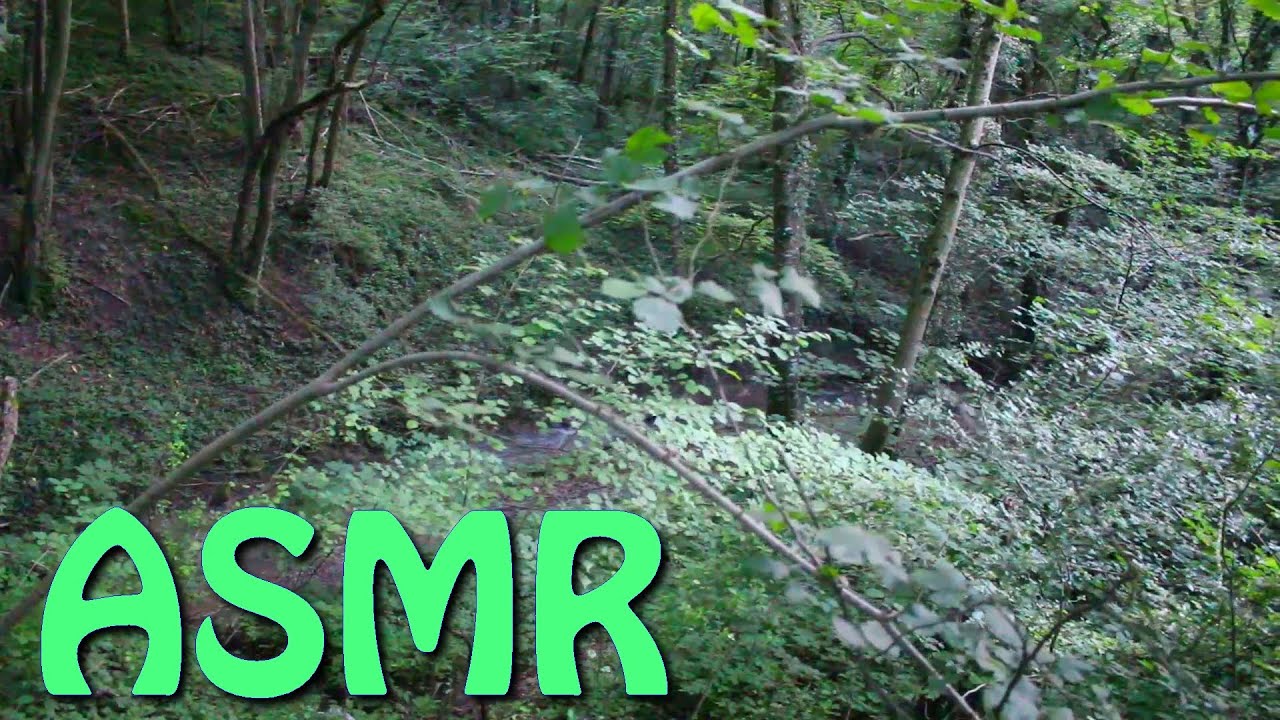 Nature [ ASMR ] - YouTube