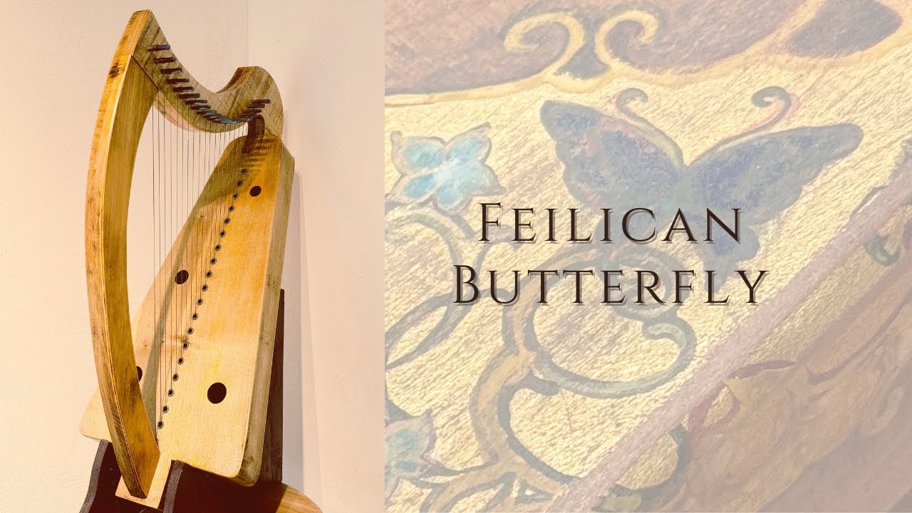 Feilican [Féileacán], The Butterfly, Irish, KT. 10「フェイラカン（蝶々）」20弦シカモア製 ...