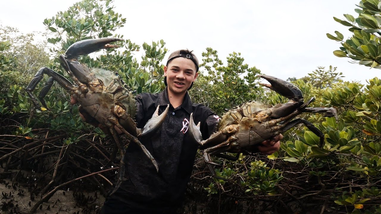 TONS of MUD CRABS - Crab Pots- Remote Mangroves - YouTube