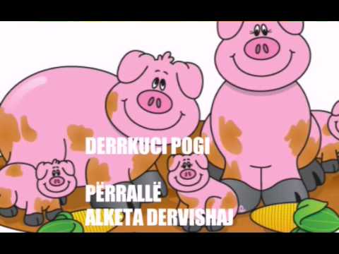 DERRKUCI POGI, PËRRALLË, ALKETA DERVISHAJ - YouTube
