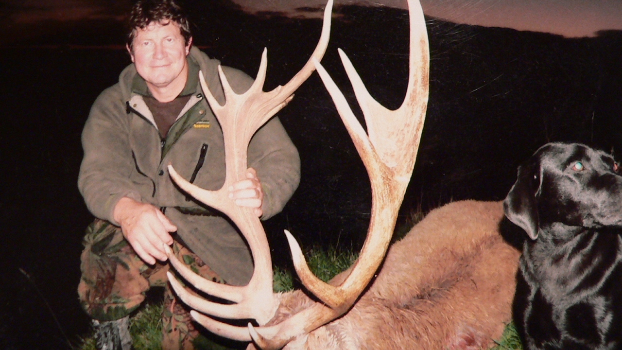 Big 14 pt red stag NO HIGH FENCES - YouTube