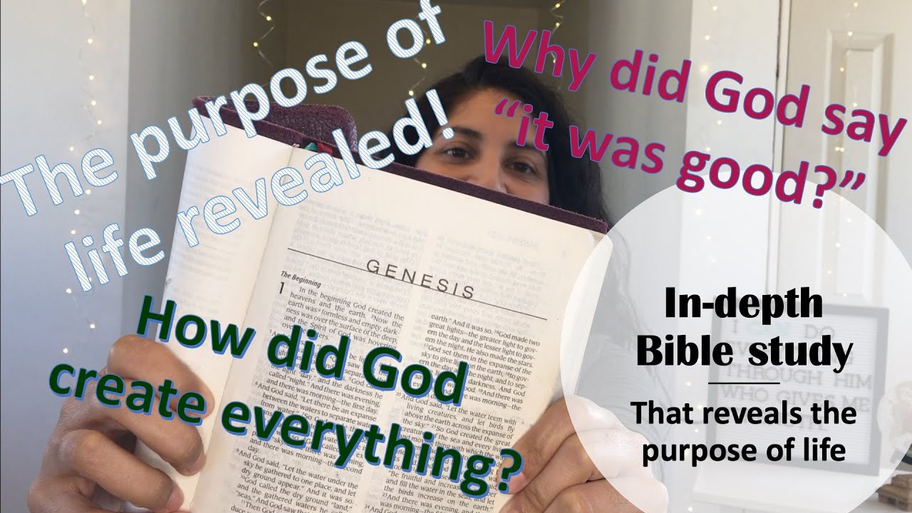 What is my purpose? | Interactive Bible Study | Genesis 1 - YouTube