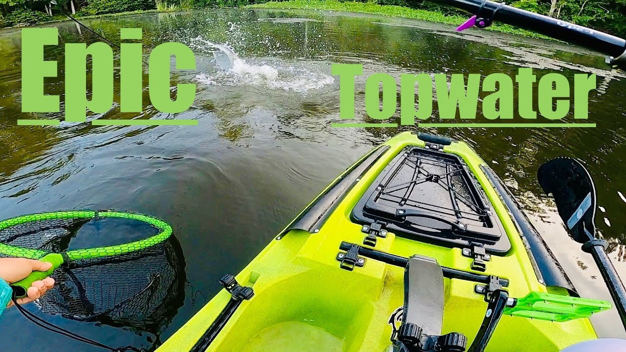 MUST SEE Most Epic TOPWATER bite at Tuckertown Reservoir, NC 24 Daiwa ...