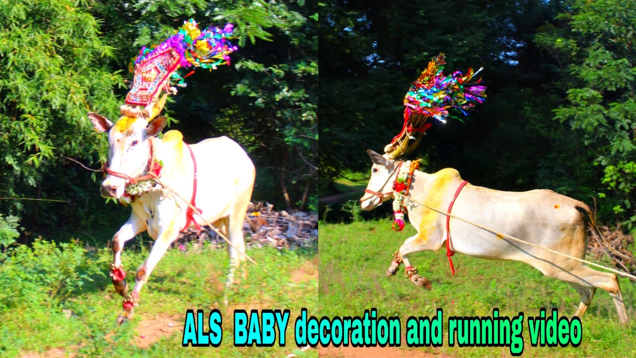 ALS BABY decoration and running video@bulletrani8271 - YouTube
