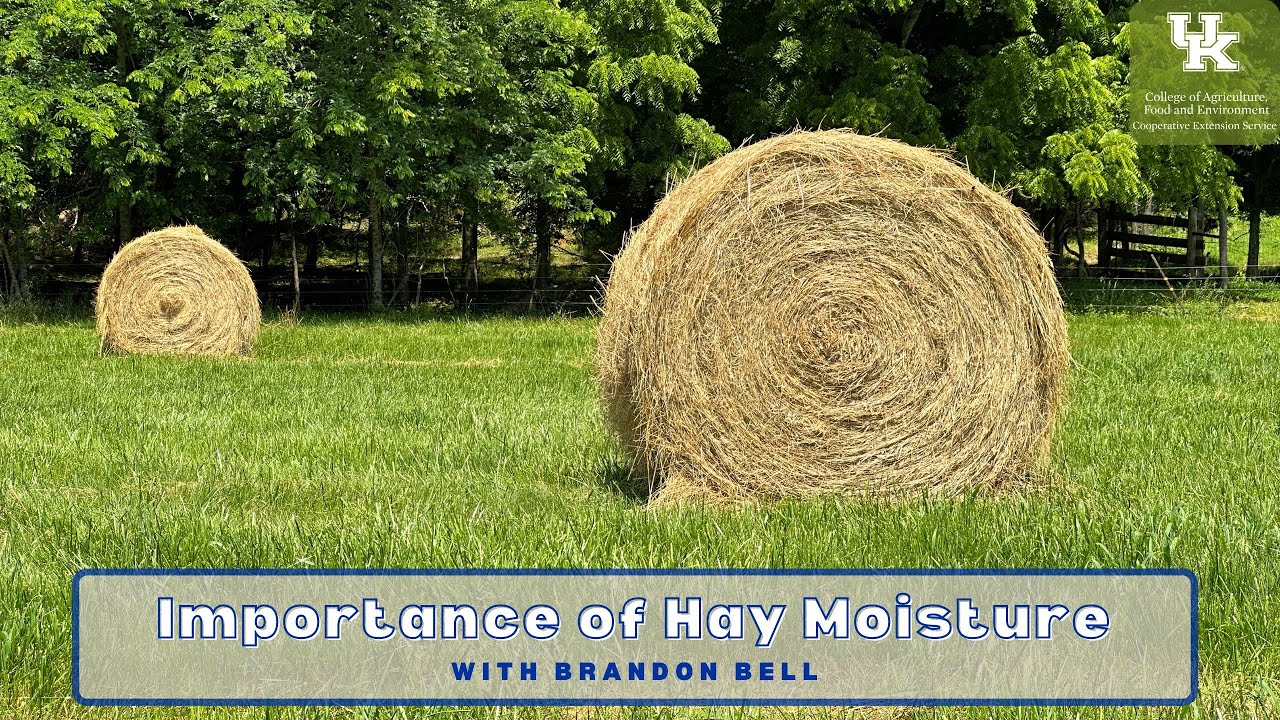 Importance of Hay Moisture - YouTube