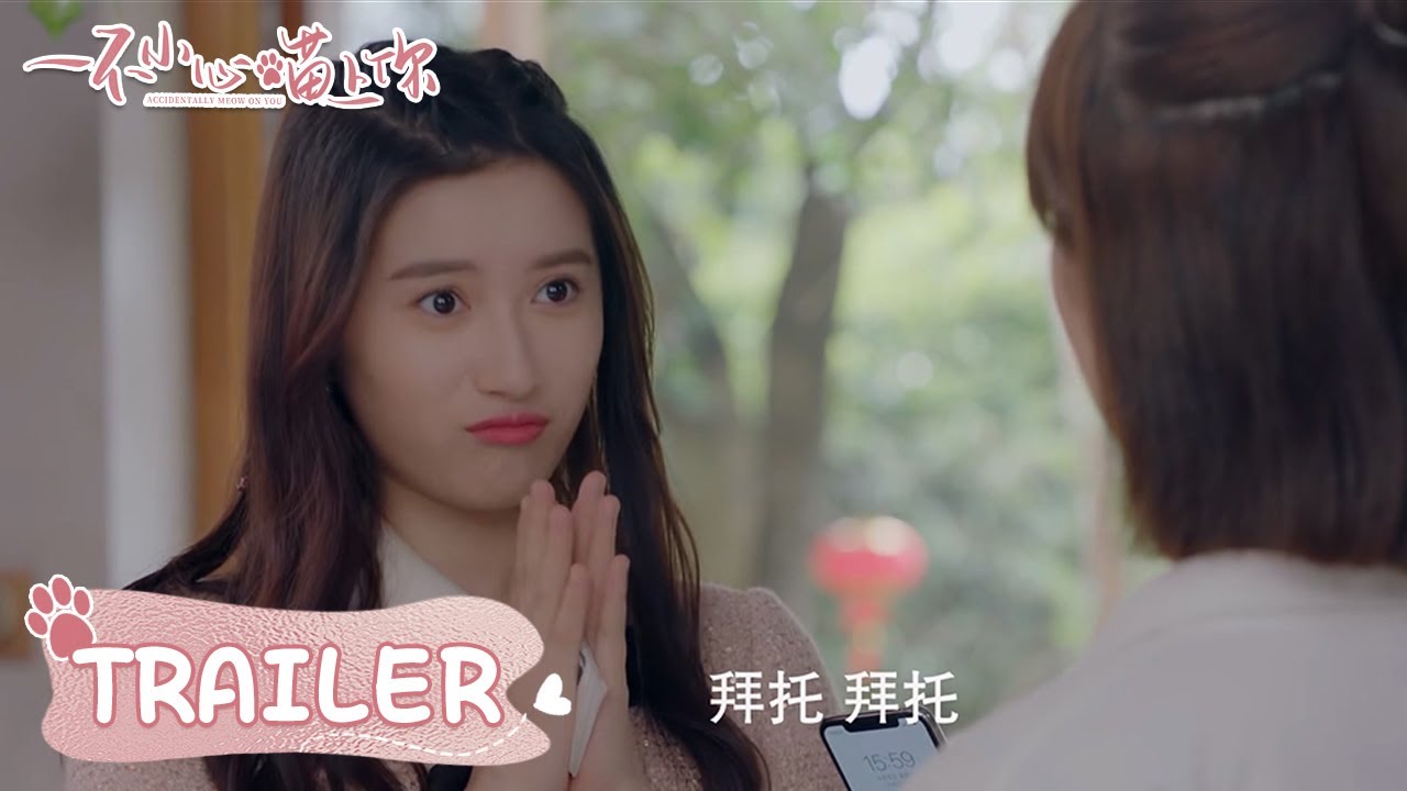 EP02 预告 Trailer 胡嘉欣花式应聘【一不小心喵上你 Accidentally Meow On You】 - YouTube