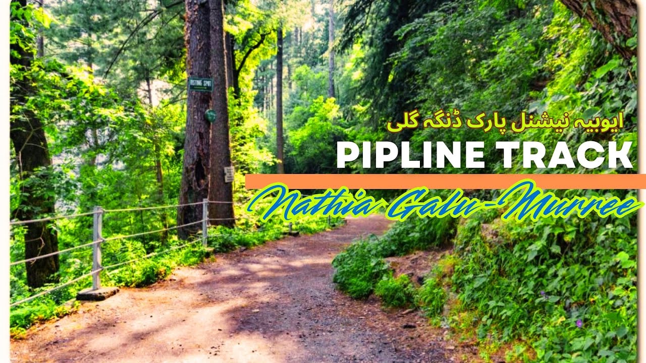 pipline walking track |Ayubia National Park | Dunga Gali | Nathia Gali ...