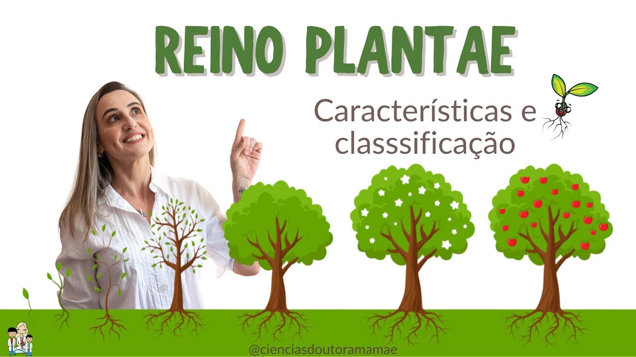 Reino Plantae Divisiones Del Reino Plantae Icarito