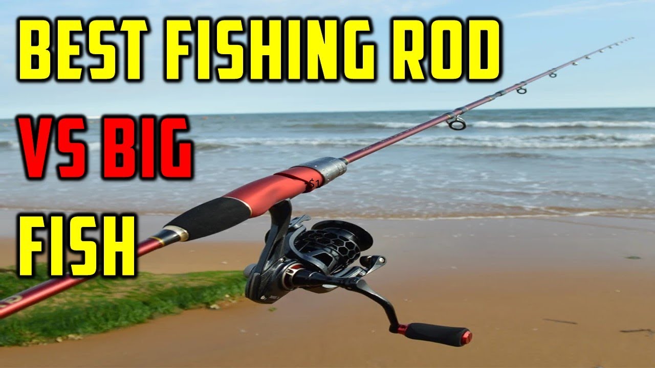 Best Fishing Rod Vs Big Fish | Top 5 Best Fishing Rod Vs Big Fish - YouTube