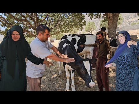 Nomadic Life: A Journey to the Land of Love and Animal Husbandry🐄🐄