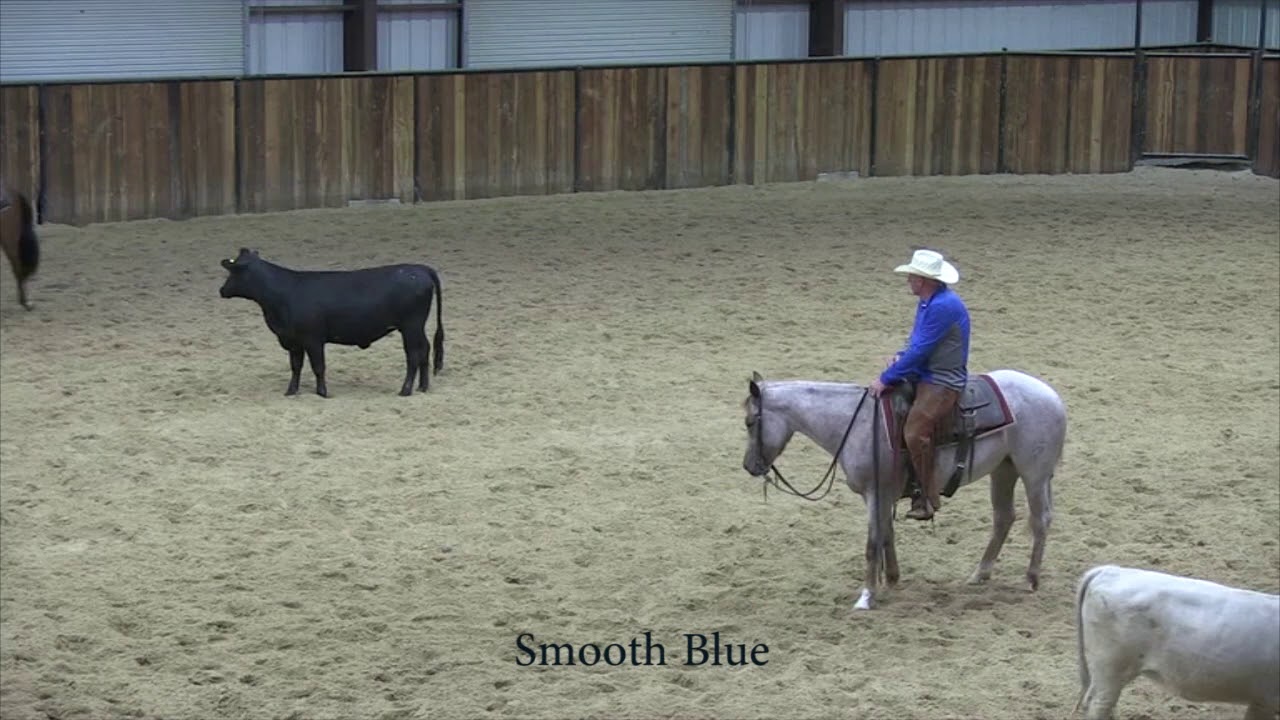 Smooth Blue : Once In A Blu Boon x Patches of Blue - YouTube