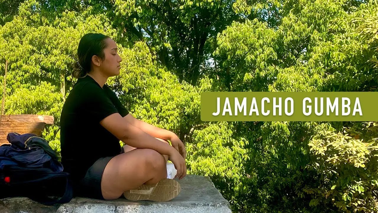 The Joy of Hiking Alone | Hiking | Shivapuri Nagarjun National Park ...