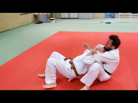 Japanese Jujitsu - Boxing, Judo, Flying scissors - YouTube