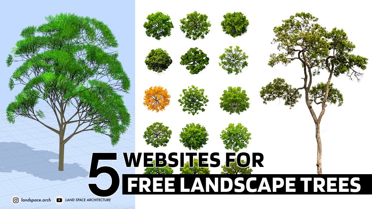 Top 5 Sites for Free Tree Assets in Landscape Design - YouTube