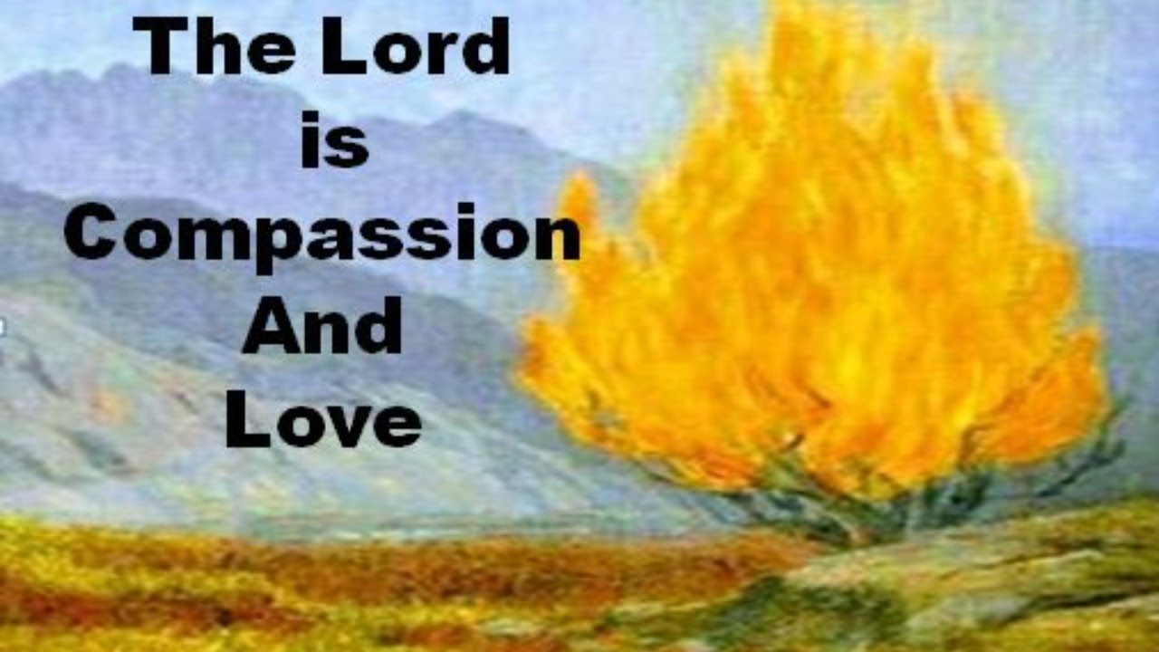 Thurs 22nd 10.30am Mass from Fedamore and Manister, Co. Limerick. - YouTube