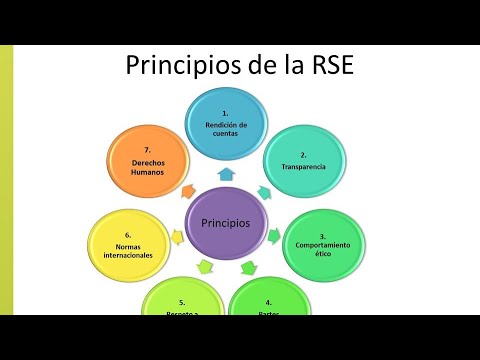 7 Principios de la RSE - YouTube