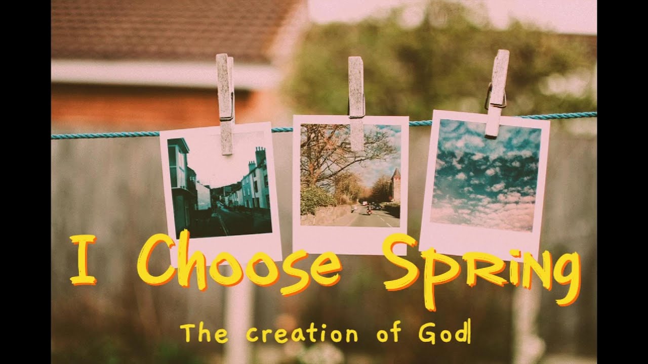 I Choose Spring | Nostalgia | Relaxing | Peaceful | Nature - YouTube