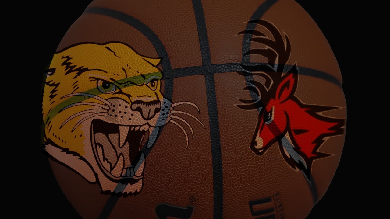 Cougar Basketball vs. Hartem Stags - YouTube