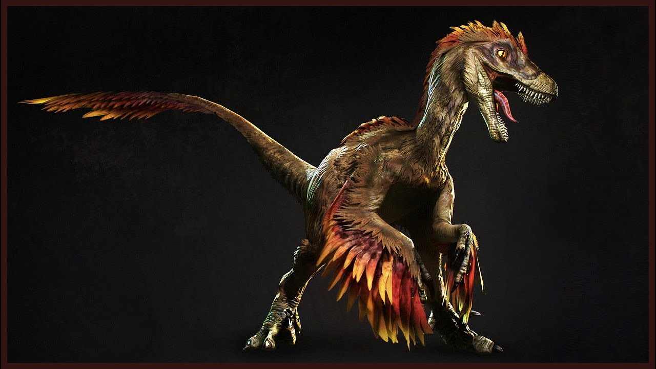 Phoenix International: Nova Raptor - YouTube