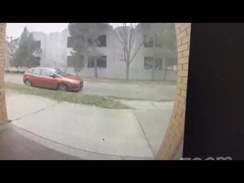 Surveillance video shows a gunman chasing slaying victim Unique Camreil Evans