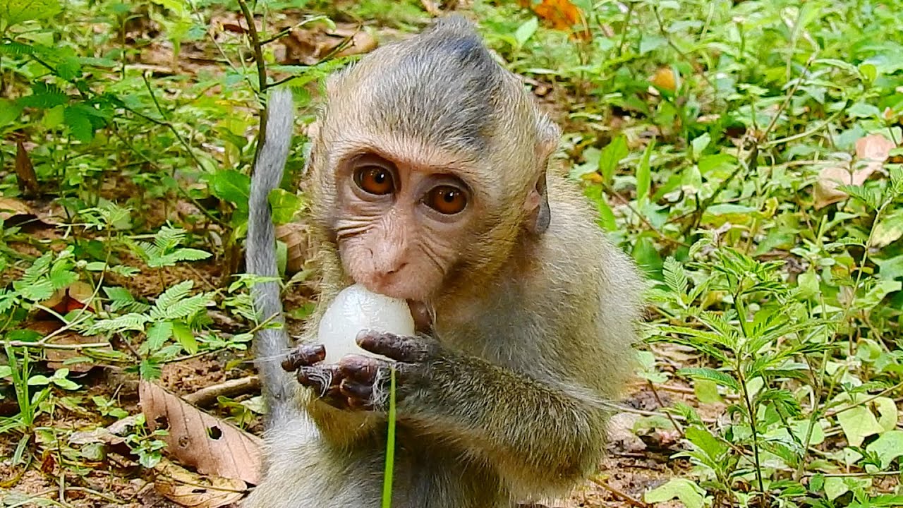 Baby Dawn feels very safe to be here she is NO scared & only play with ...