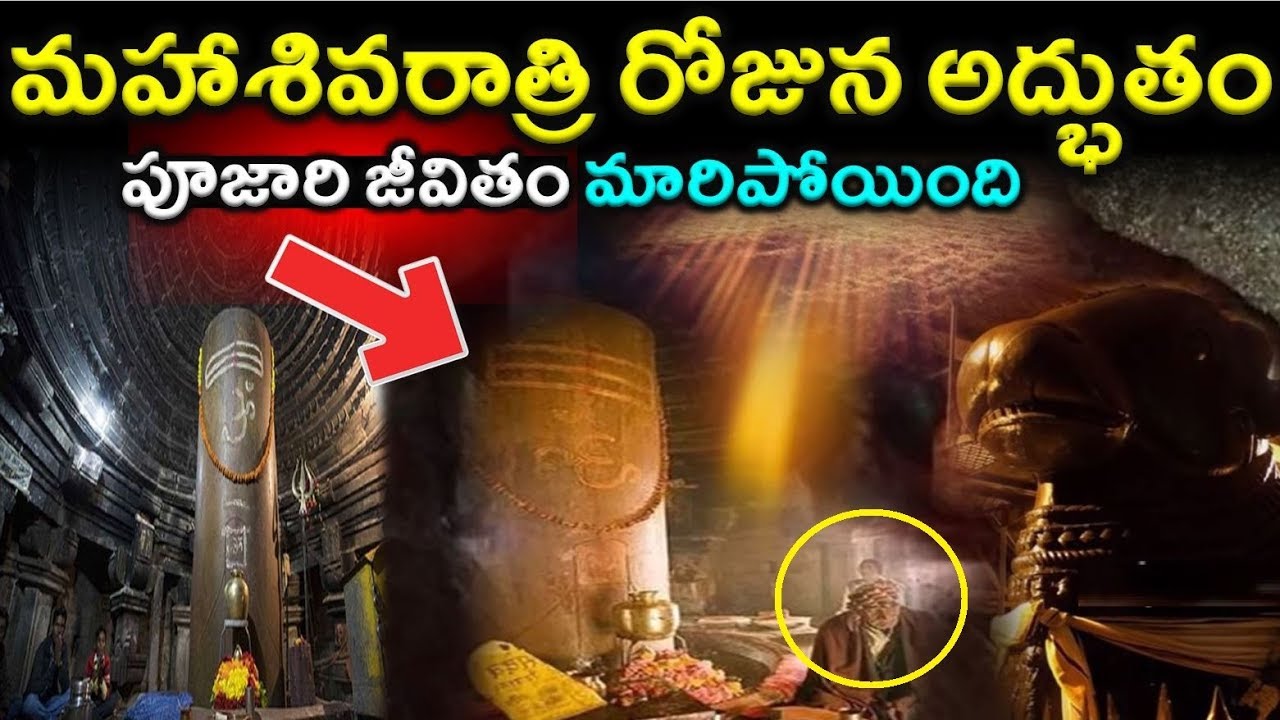 Lord Shiva Miracles in Real Life | Miracles Happened On Mahashivratri ...