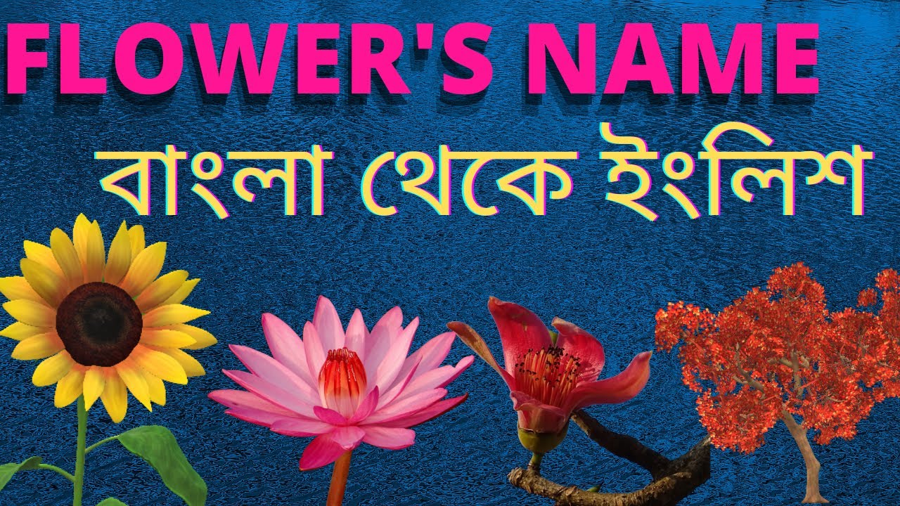 Flower names Bangla to English | flowers name। ফুলের নাম বাংলা থেকে ...