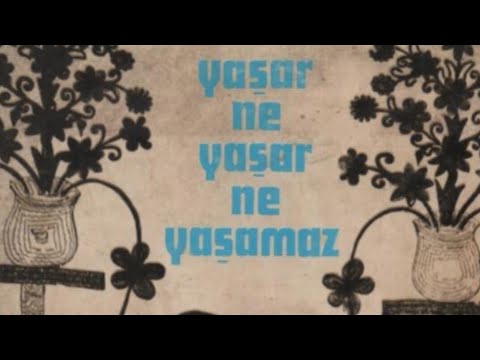 Aziz Nesin Yaşar Ne Yaşar Ne Yaşamaz Kitap Özeti