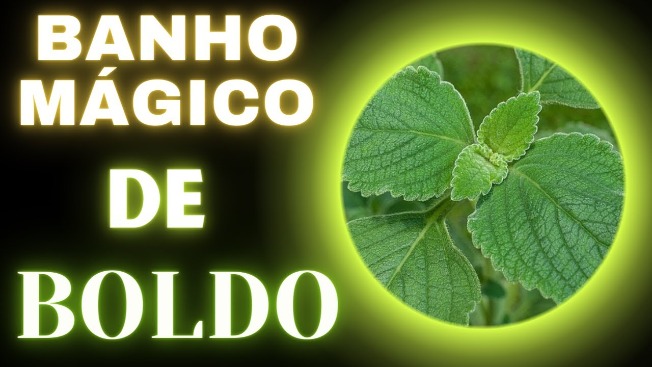 BANHO MÁGICO DE BOLDO. VEM VER COMO PREPARAR E PARA QUE SERVE. É MILAGROSO! ☘🍀🍃 - YouTube