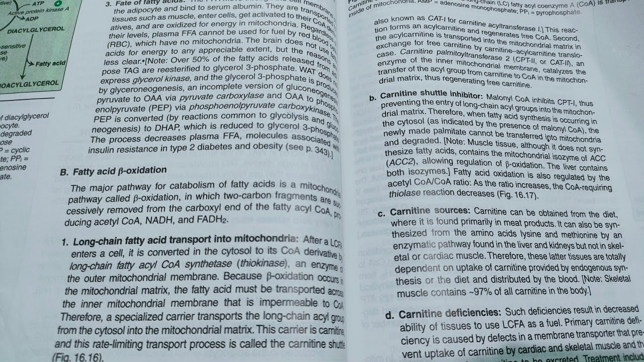 Alpha,beta,omega oxidation (Types of fatty acids oxidation) made easy 👍 ...